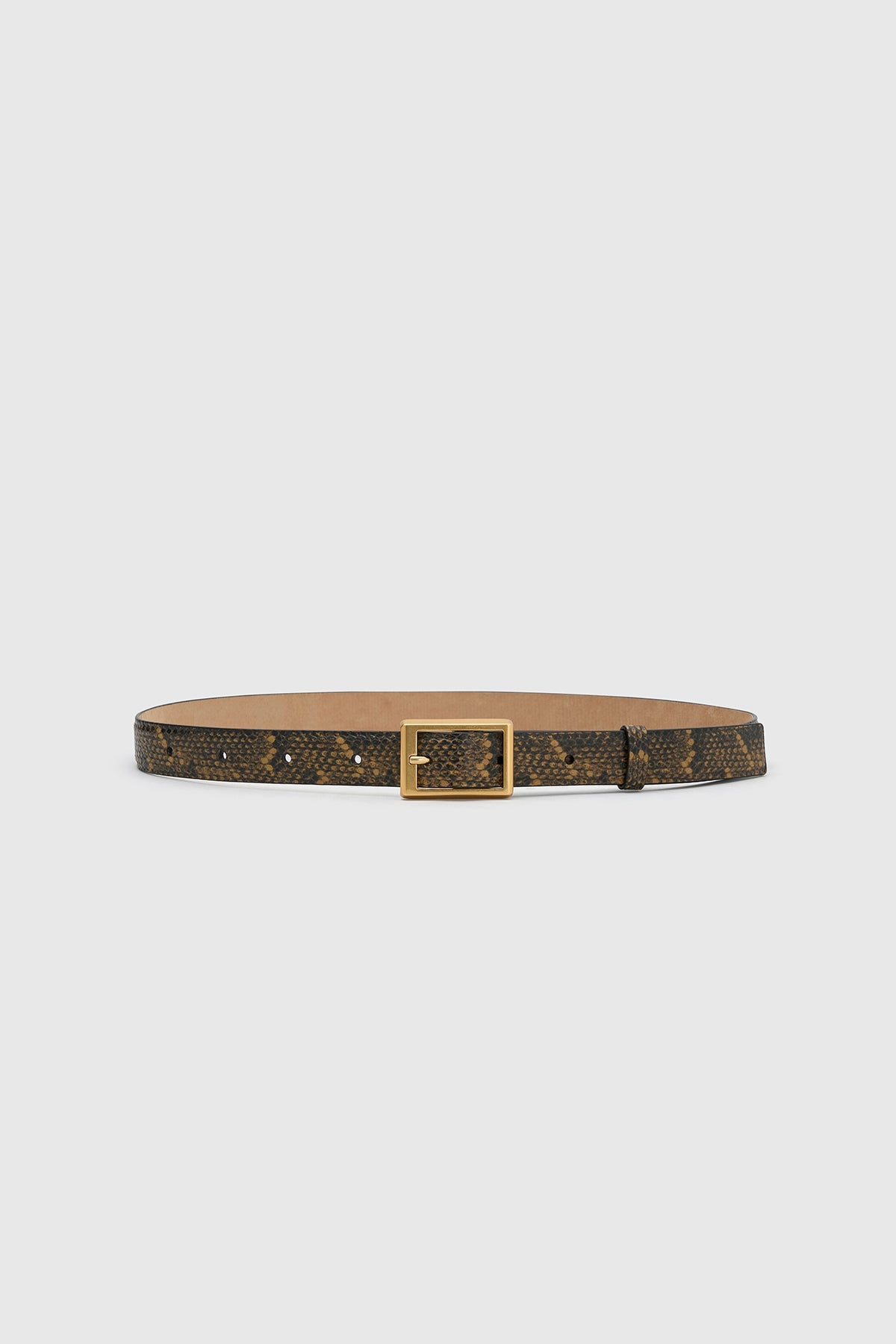 Sonny Snake Leather Belt in Tan - CAMILLA AND MARC® C&M – CAMILLA AND ...